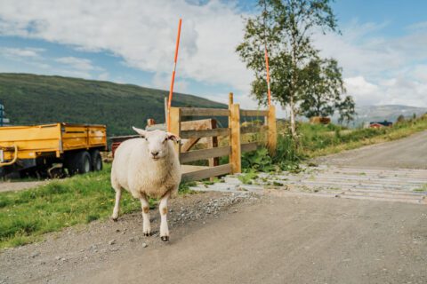 Ferist - Lonbakken Mekaniske Verksted